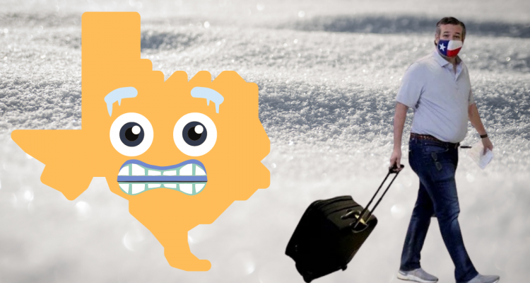 What the Texas Deep Freeze Revealed • Hightower Lowdown